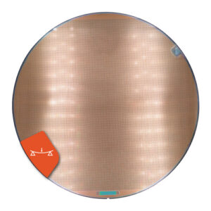 RFID Products – ASYGN